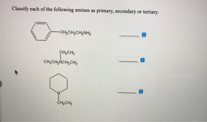 Solved Classify each of the following amines as (1) primary, | Chegg.com