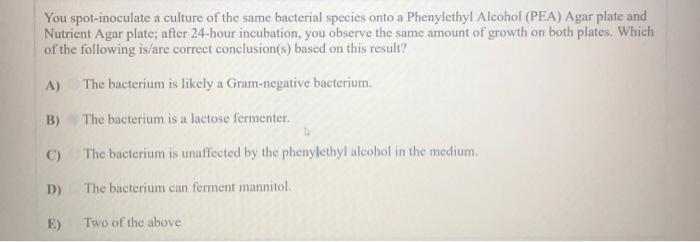 Solved You spot-inoculate a culture of the same bacterial | Chegg.com