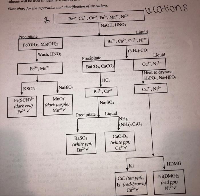 Solved scheme will be used to Flow chart for the separation | Chegg.com