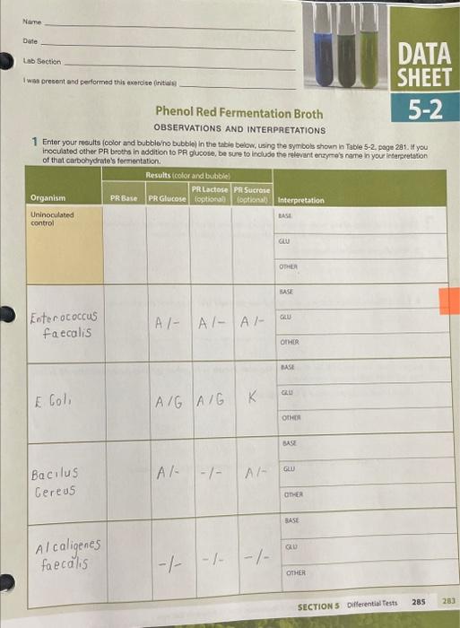 Phenol Red Fermentation Broth OBSERVATIONS AND | Chegg.com