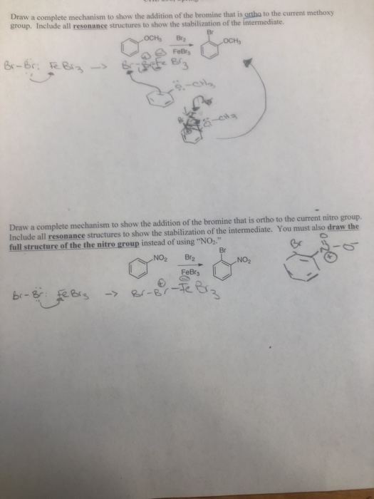 Solved Draw a complete mechanism to show the addition of the | Chegg.com