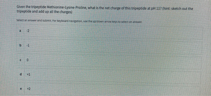 Solved Given the tripeptide Methionine-Lysine Proline, what | Chegg.com
