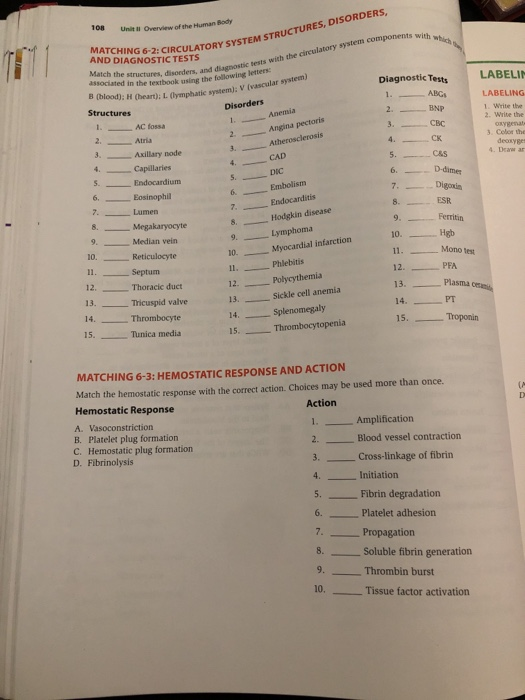 MATCHING 6-2: CIRCULATORY SYSTEM STRUCTURES, | Chegg.com MATCHING 6-2: CIRCULATORY SYSTEM STRUCTURES, | Chegg.com