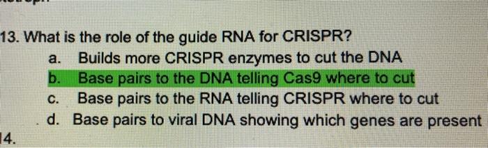 Solved a. 13. What is the role of the guide RNA for CRISPR? | Chegg.com