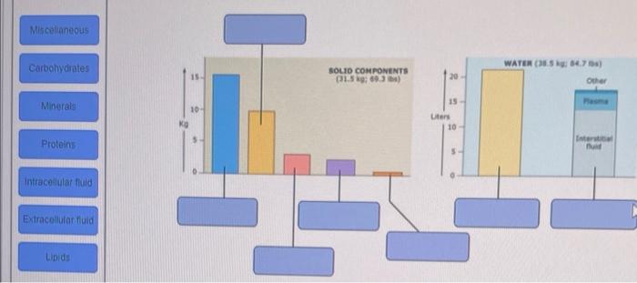 Solved Drag the labels to identify the solid and fluid | Chegg.com