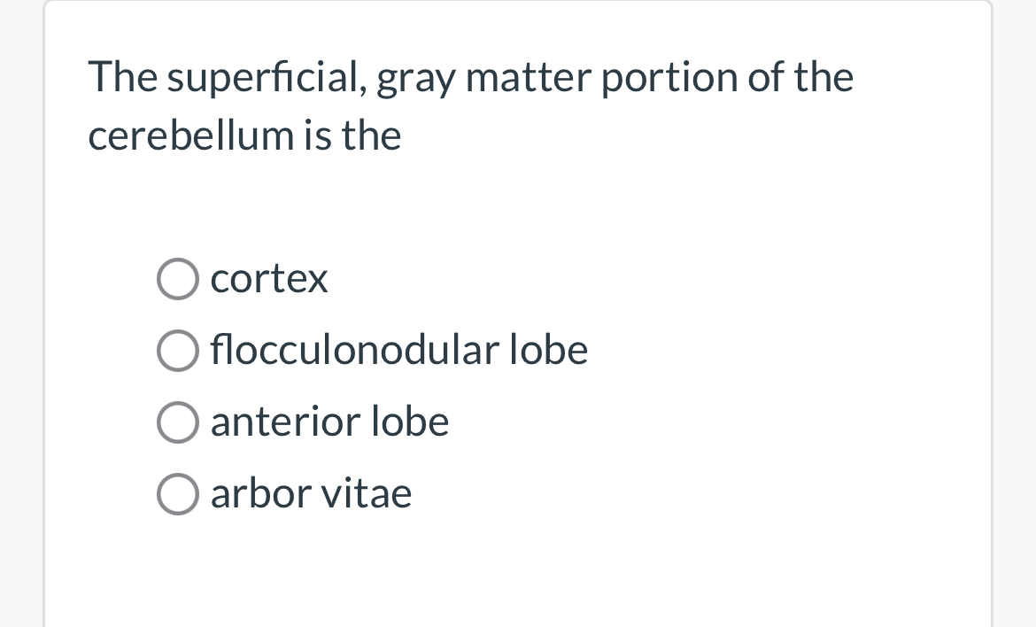 Solved The superficial, gray matter portion of the | Chegg.com