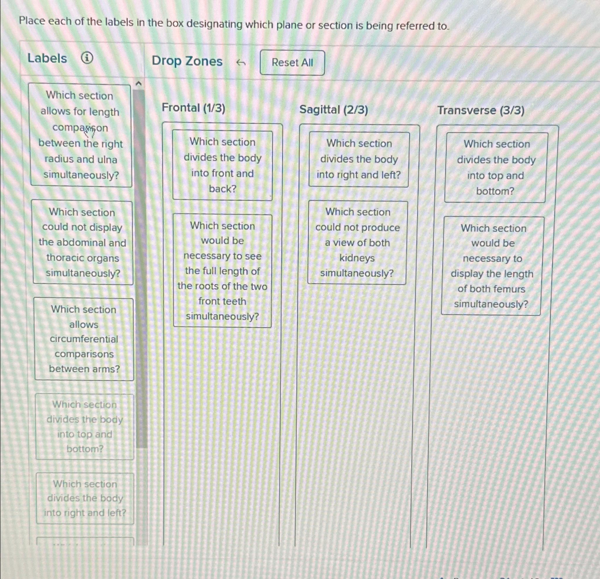 Solved Place each of the labels in the box designating which | Chegg.com
