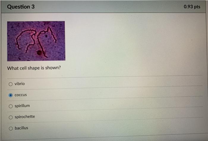 Solved Question 3 0.93 pts What cell shape is shown? vibrio | Chegg.com