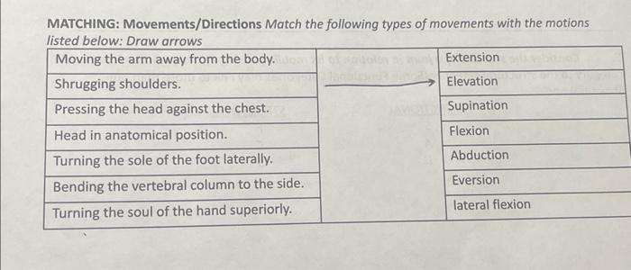 Solved MATCHING: Movements/Directions Match the following | Chegg.com