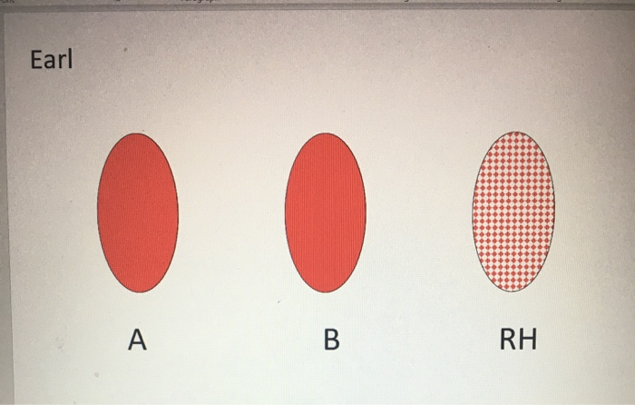 Solved Blood Typing: how to read Blood Type Reactions w/ | Chegg.com
