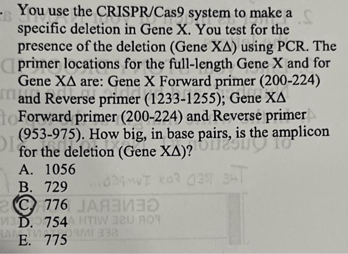 Solved You use the CRISPR/Cas9 system to make a specific | Chegg.com