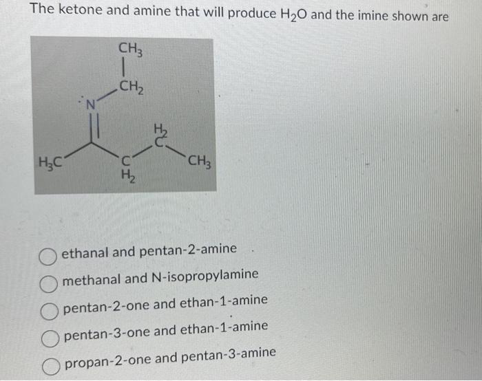 Solved The ketone and amine that will produce H2O and the | Chegg.com