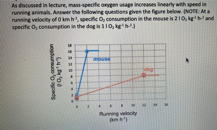 Solved to find the aerobic scope, we typically divide the | Chegg.com