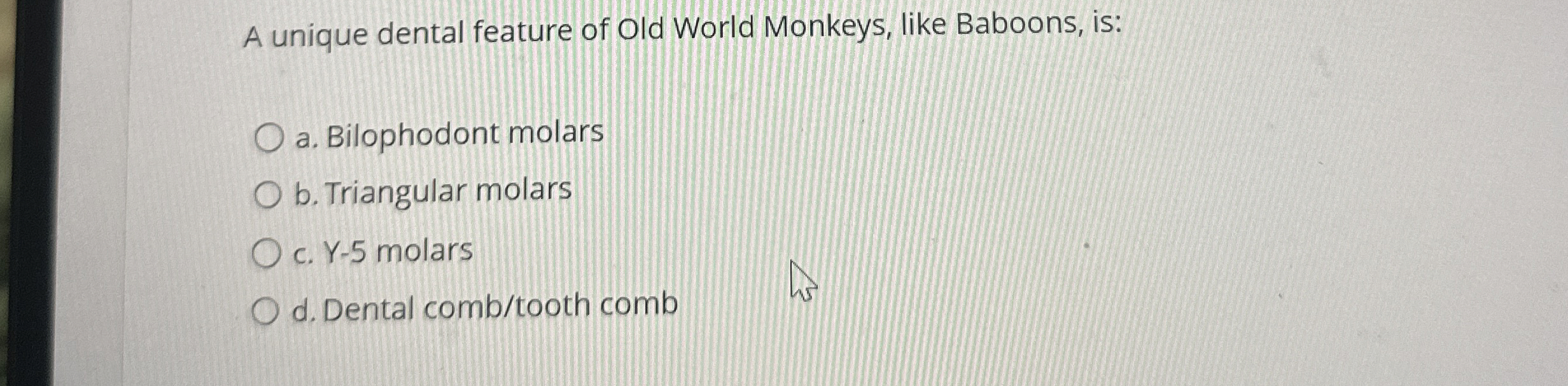Solved A unique dental feature of Old World Monkeys, like | Chegg.com
