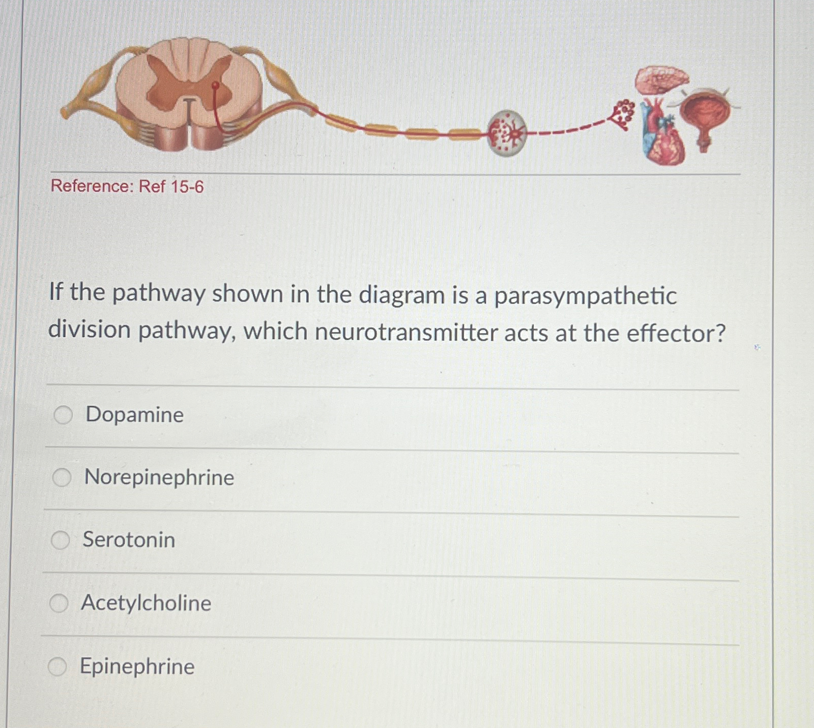 Solved If the pathway shown in the diagram is a | Chegg.com
