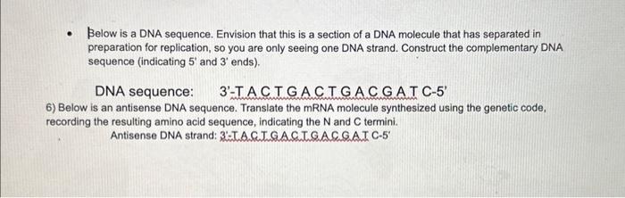 Solved - Below is a DNA sequence. Envision that this is a | Chegg.com