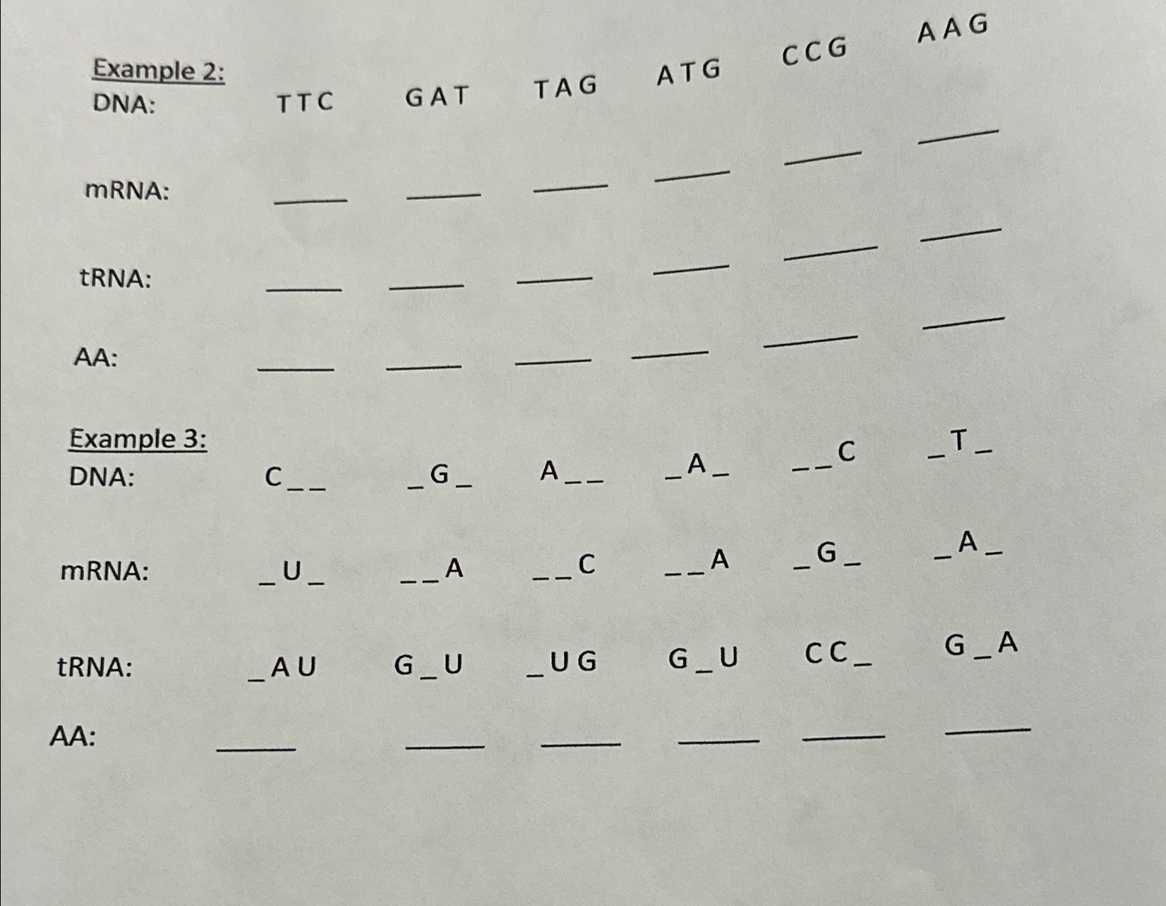 Solved Example 2:DNA: TTC GAT TAG ATGMRNA:tRNA:AA:Example | Chegg.com