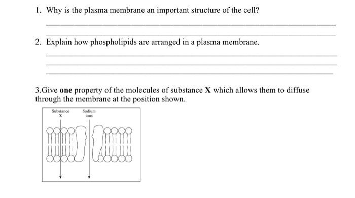Solved 1. Why is the plasma membrane an important structure | Chegg.com
