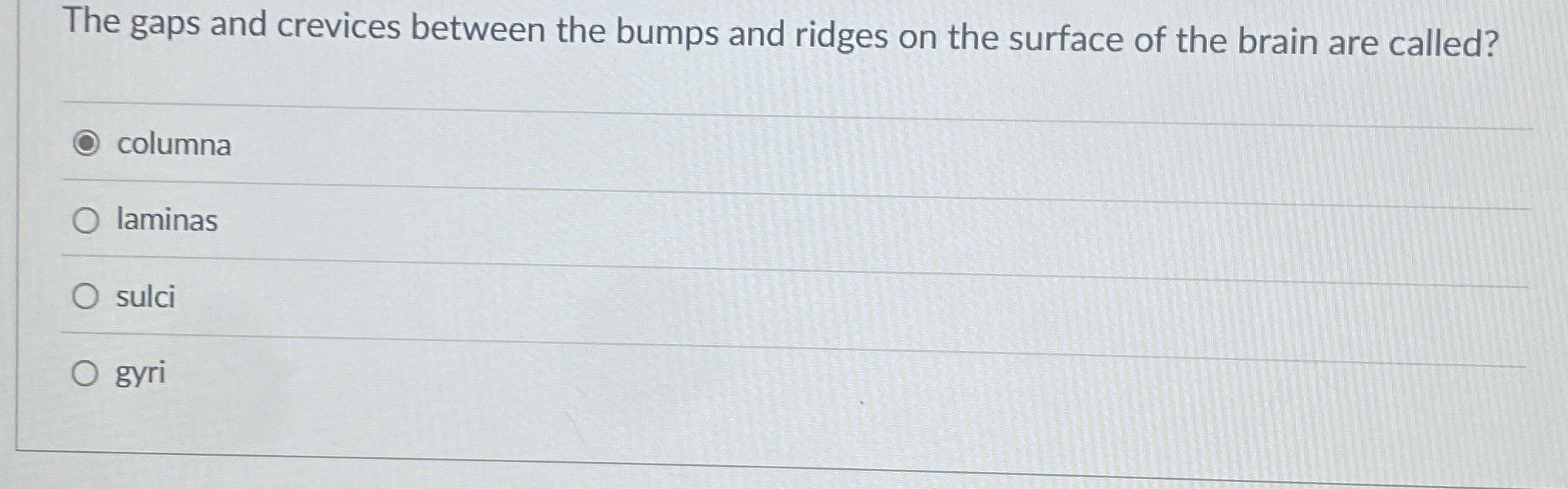 Solved The gaps and crevices between the bumps and ridges on | Chegg.com