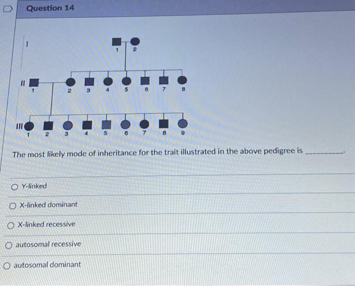 Solved III Question 14 1 2 2 OY-linked 3 O X-linked dominant | Chegg.com