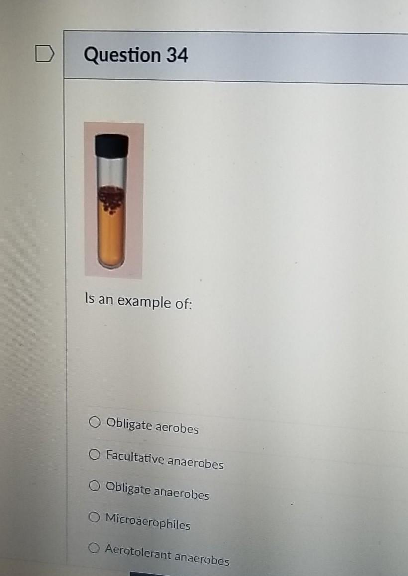 Solved Question 34 Is an example of: Obligate aerobes | Chegg.com