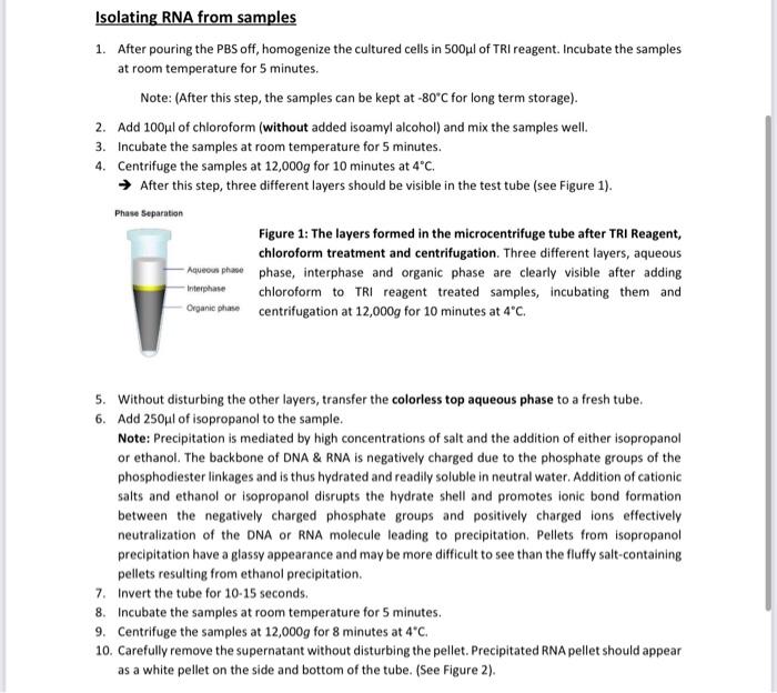 Solved - For Materials and Methods: - Briefly explain the | Chegg.com