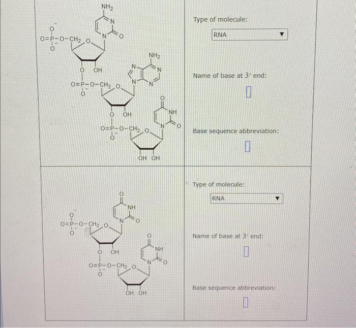 Solved For each molecule in the table below: - Classify the | Chegg.com