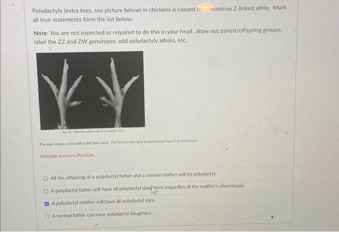 Solved Polydactyly (extra toes, see picture below) in | Chegg.com