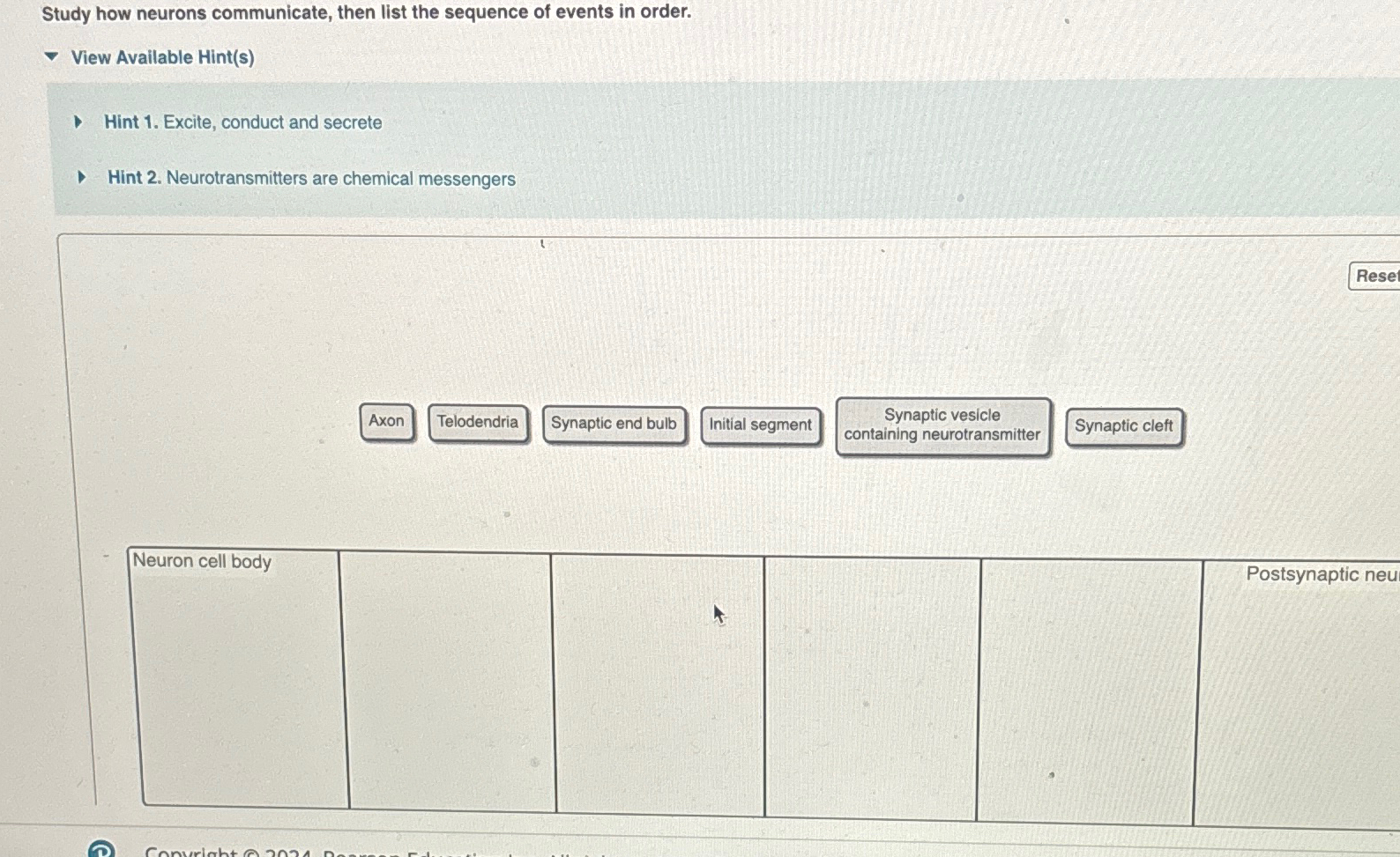 Solved Study how neurons communicate, then list the sequence | Chegg.com