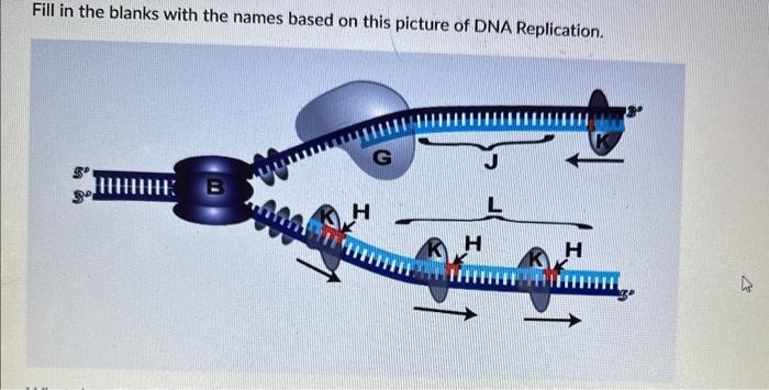 Solved Fill in the blanks with the names based on this | Chegg.com