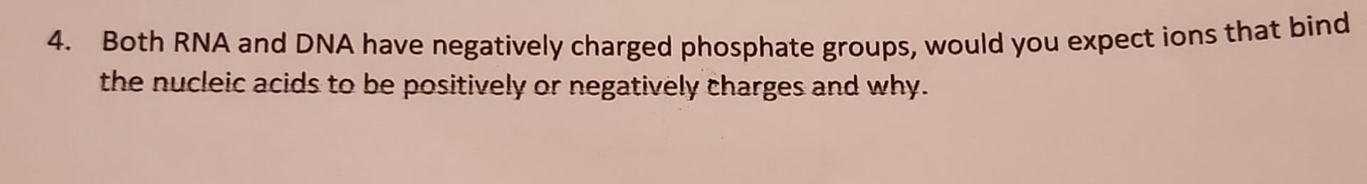 Solved 4. Both RNA and DNA have negatively charged phosphate | Chegg.com