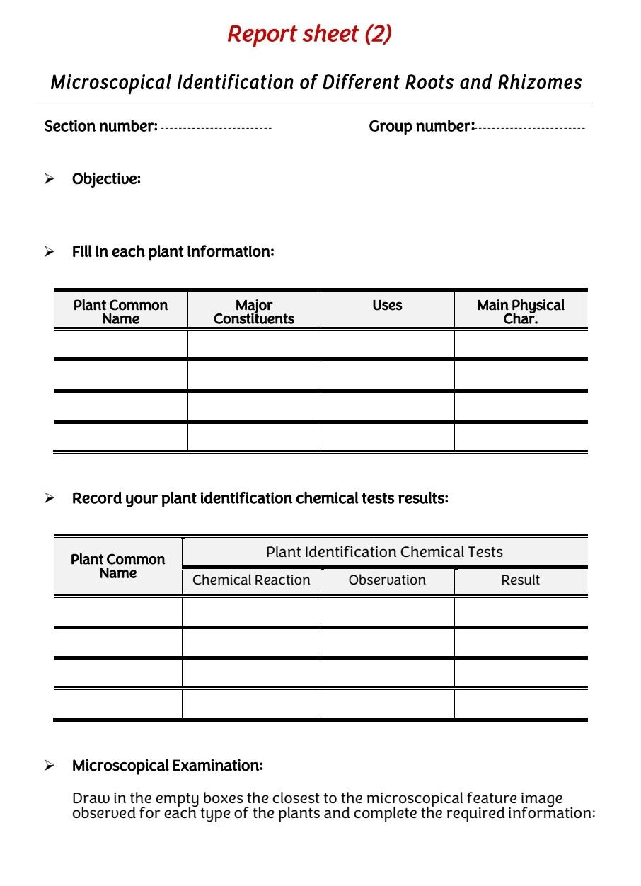 Solved Report sheet (2) Microscopical Identification of | Chegg.com