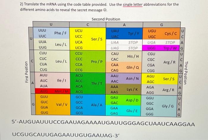 Solved 2) Translate the mRNA using the code table provided. | Chegg.com