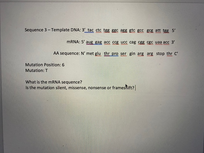Solved Sequence 3 - Template DNA: 3' tac ctc tgg ggc agg gtc | Chegg.com Solved Sequence 3 - Template DNA: 3' tac ctc tgg ggc agg gtc | Chegg.com