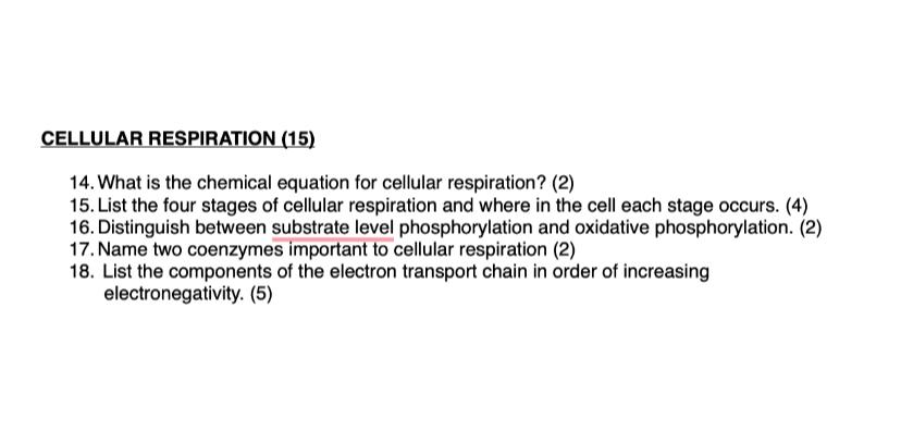 Solved CELLULAR RESPIRATION (15)14. ﻿What is the chemical | Chegg.com