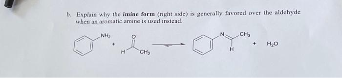 Solved b. Explain why the imine form (right side) is | Chegg.com