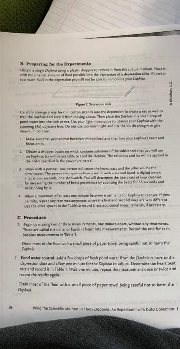 Solved V. USING YOUR DATA TO MAKE A BAR GRAPH Use the | Chegg.com