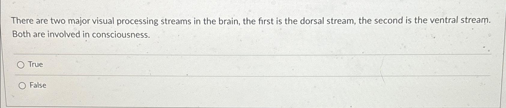 Solved There are two major visual processing streams in the | Chegg.com