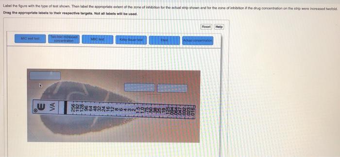 Solved Label the figure with the type of test shown. Then | Chegg.com