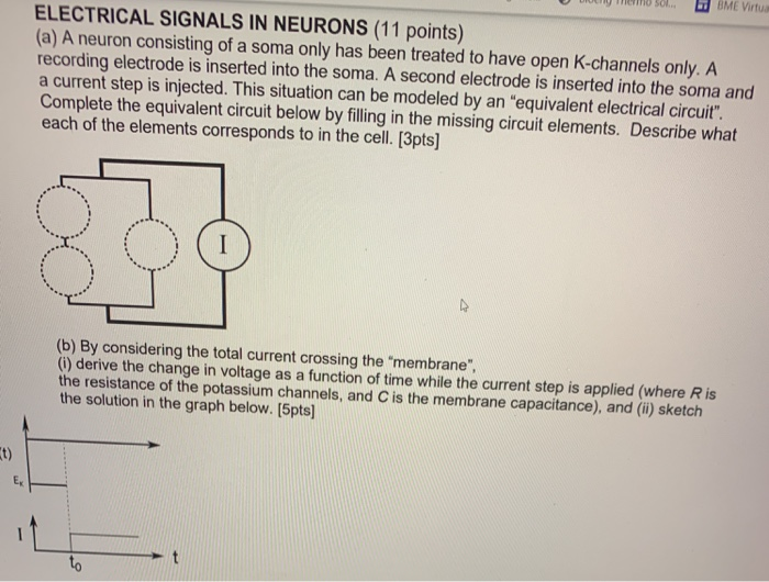 SO BME Virtue ELECTRICAL SIGNALS IN NEURONS (11 | Chegg.com