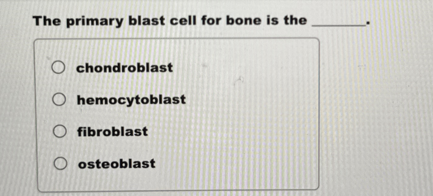 Solved The primary blast cell for bone is | Chegg.com