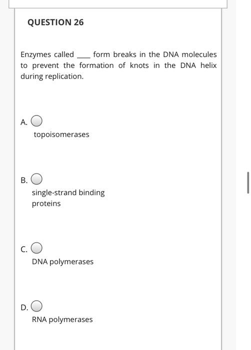 Solved DNA synthesis proceeds in the 5 prime >3 prime | Chegg.com