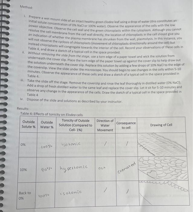 Solved Method: 1. Prepare a wet mount slide of an intact | Chegg.com