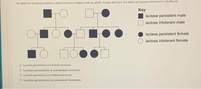 Solved An allole for lactase persistence allows humans to | Chegg.com