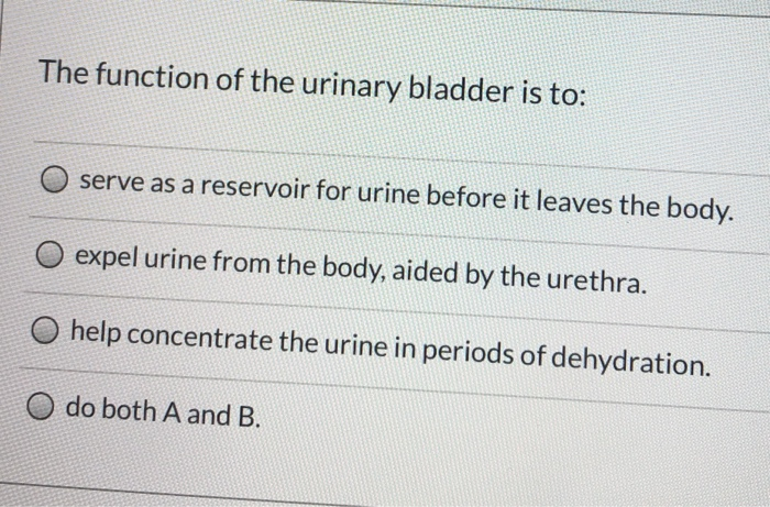 Solved The function of the urinary bladder is to: serve as a | Chegg.com