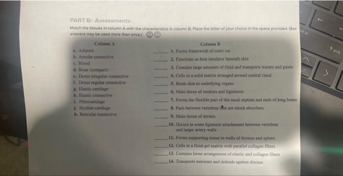 Solved PART B: Ausessments Match the tissues incolumn A with | Chegg.com