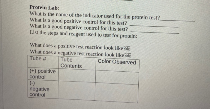 Solved Take a picture of the positive and negative control | Chegg.com