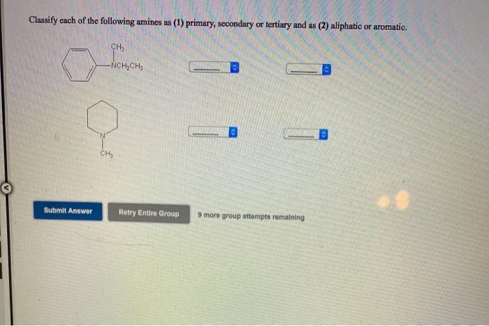 Solved Classify each of the following amines as (1) primary, | Chegg.com