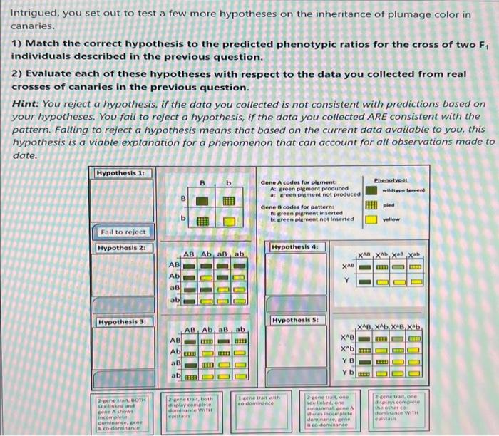 Solved Intrigued, you set out to test a fers more hypotheses | Chegg.com
