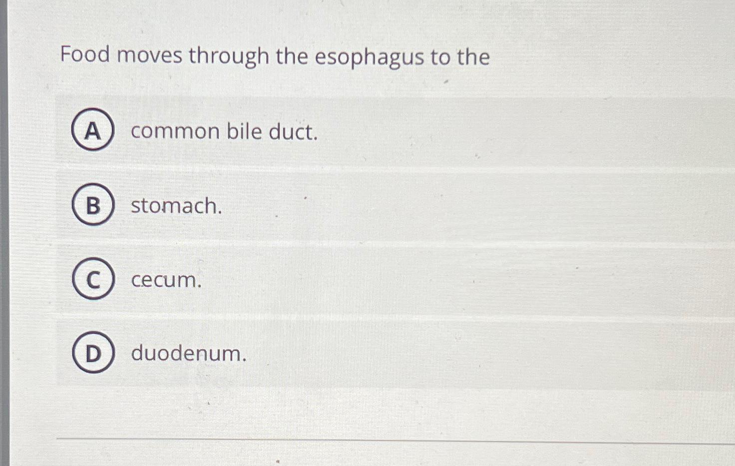 Solved Food moves through the esophagus to thecommon bile | Chegg.com